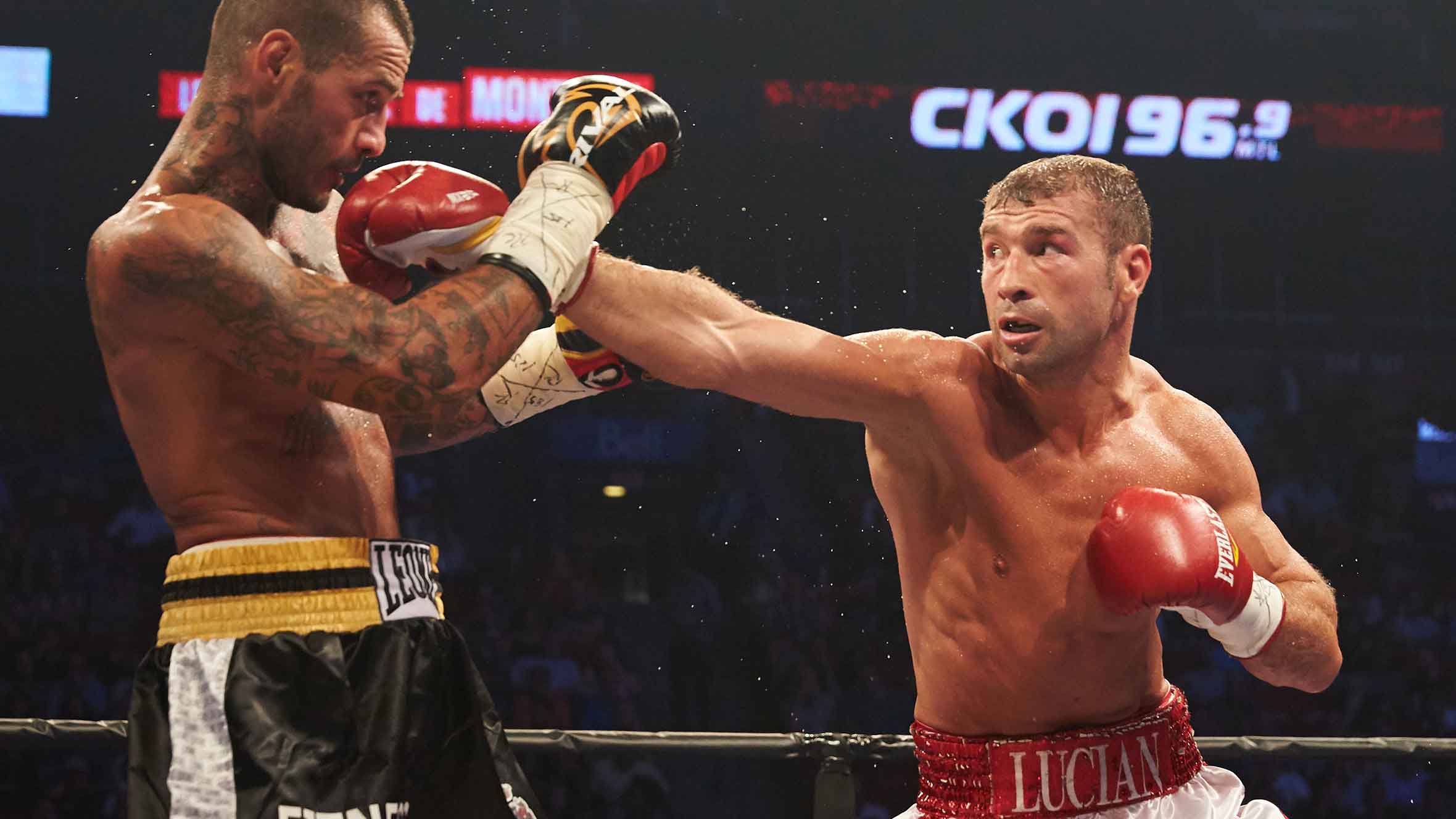Lucian Bute pounds out a TKO victory in concussive comeback fight