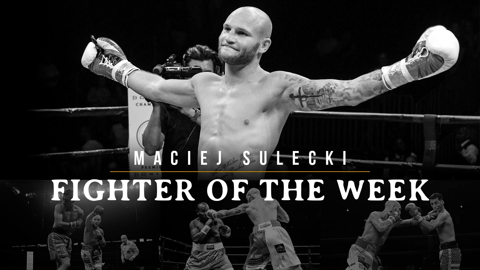 Fighter of the Week: Maciej Sulecki