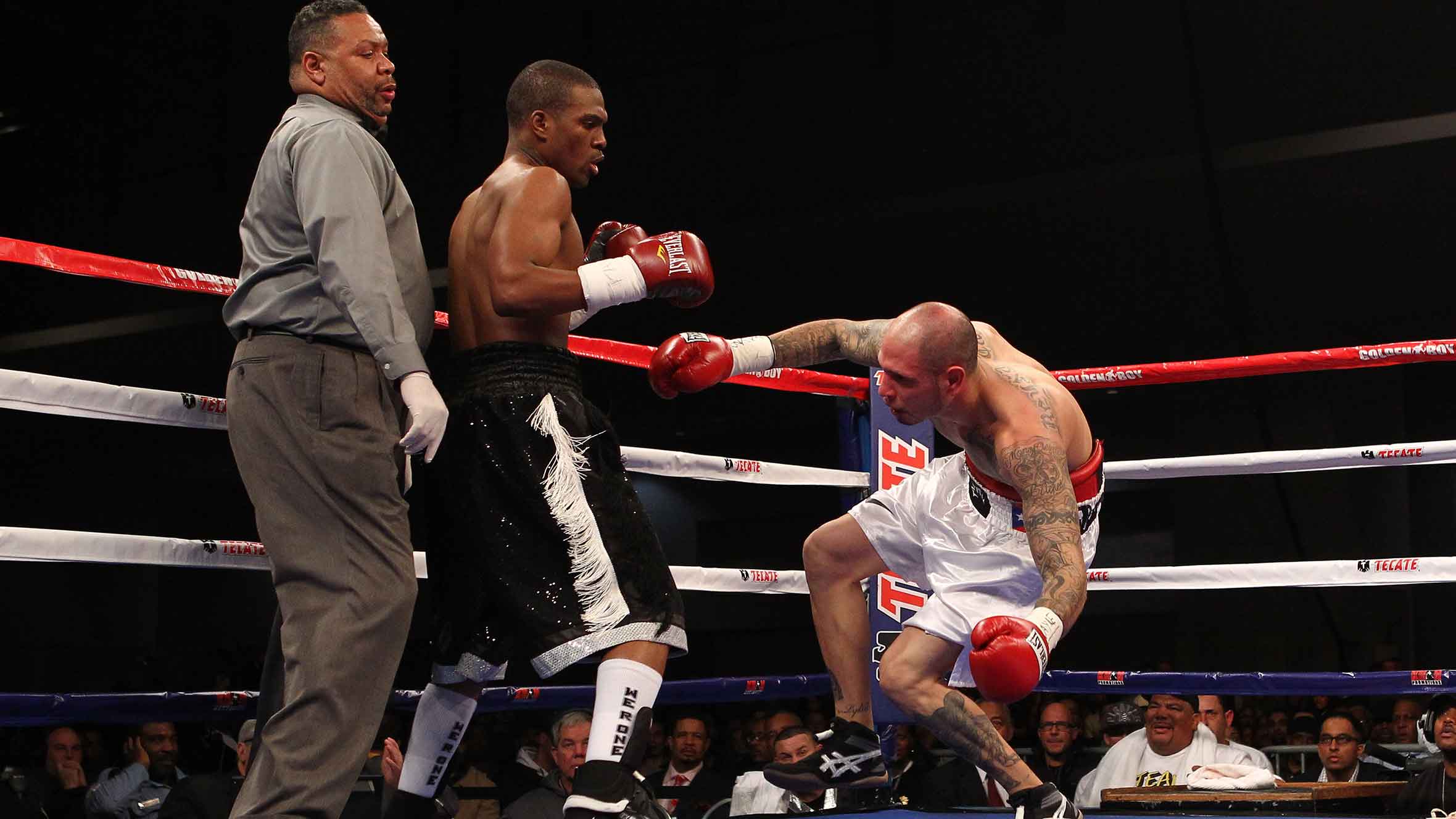 Boxing Knockout Punch